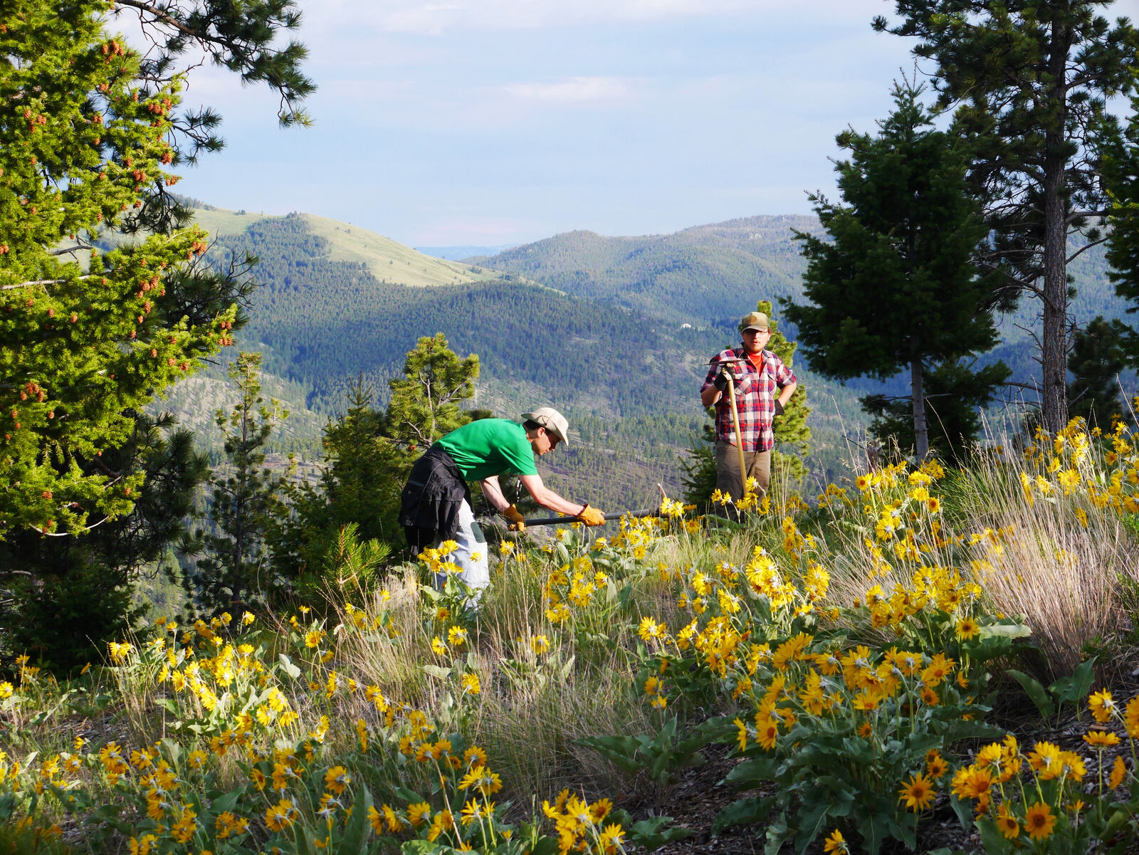 Trail Work Days - Prickly Pear Land Trust
