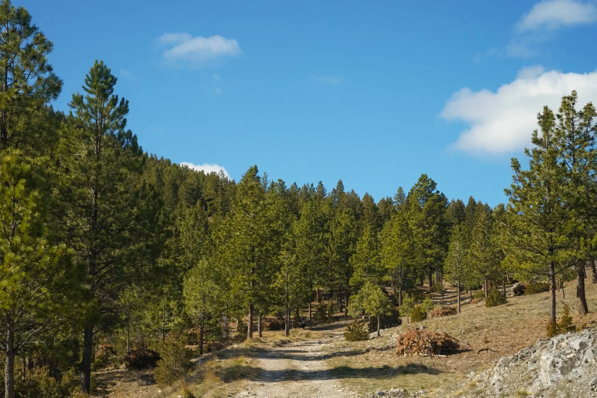 Easy Rider Loop - Prickly Pear Land Trust
